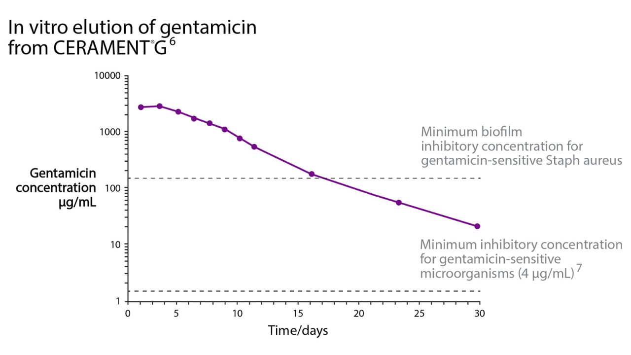 CERAMENT® G | A New Pathway