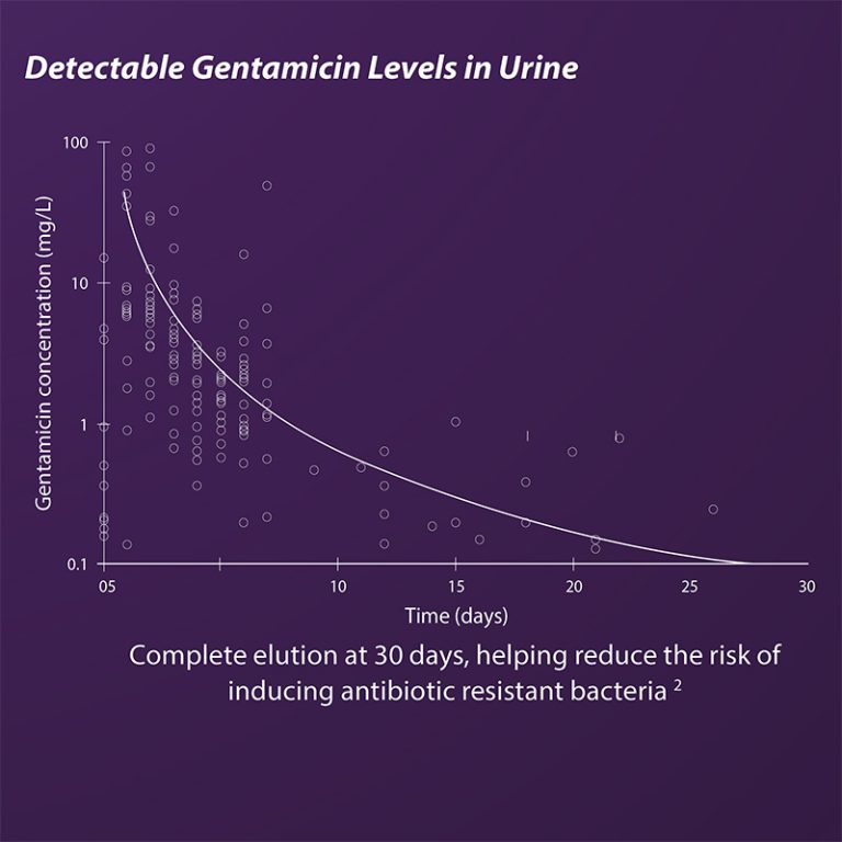 CERAMENT® G | How Does it Work?